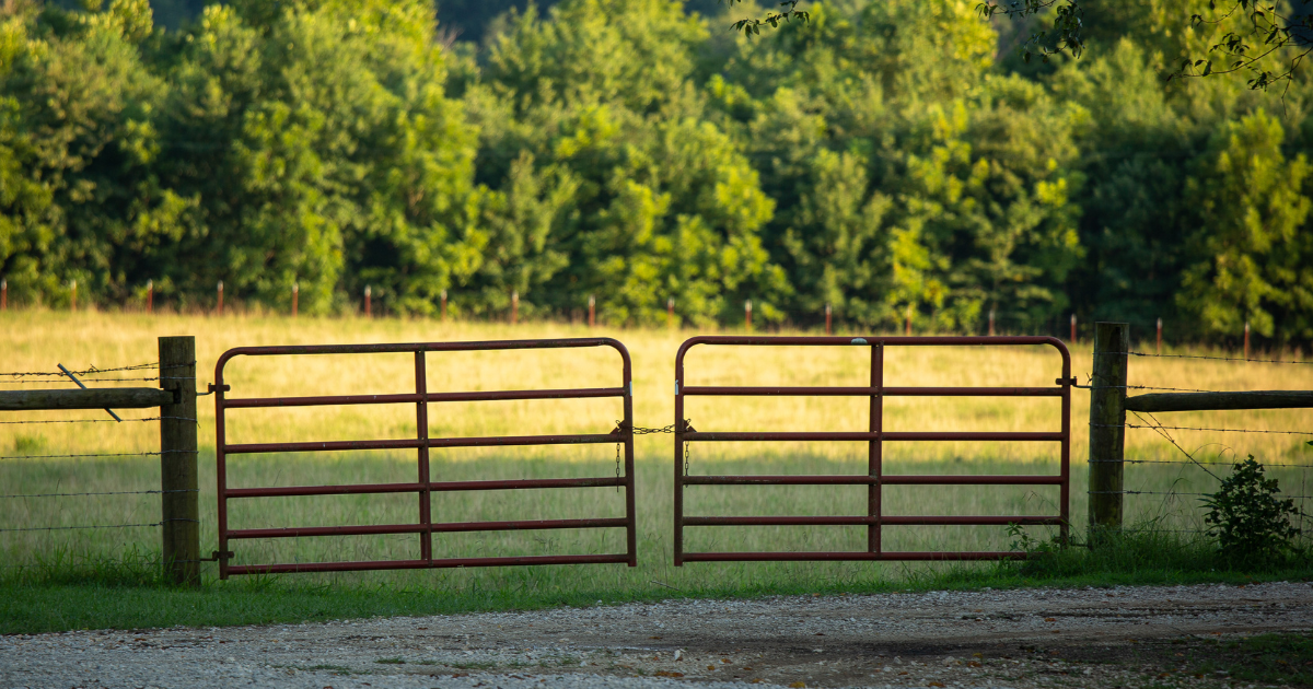 Overcoming Roadblocks - Courage For Life